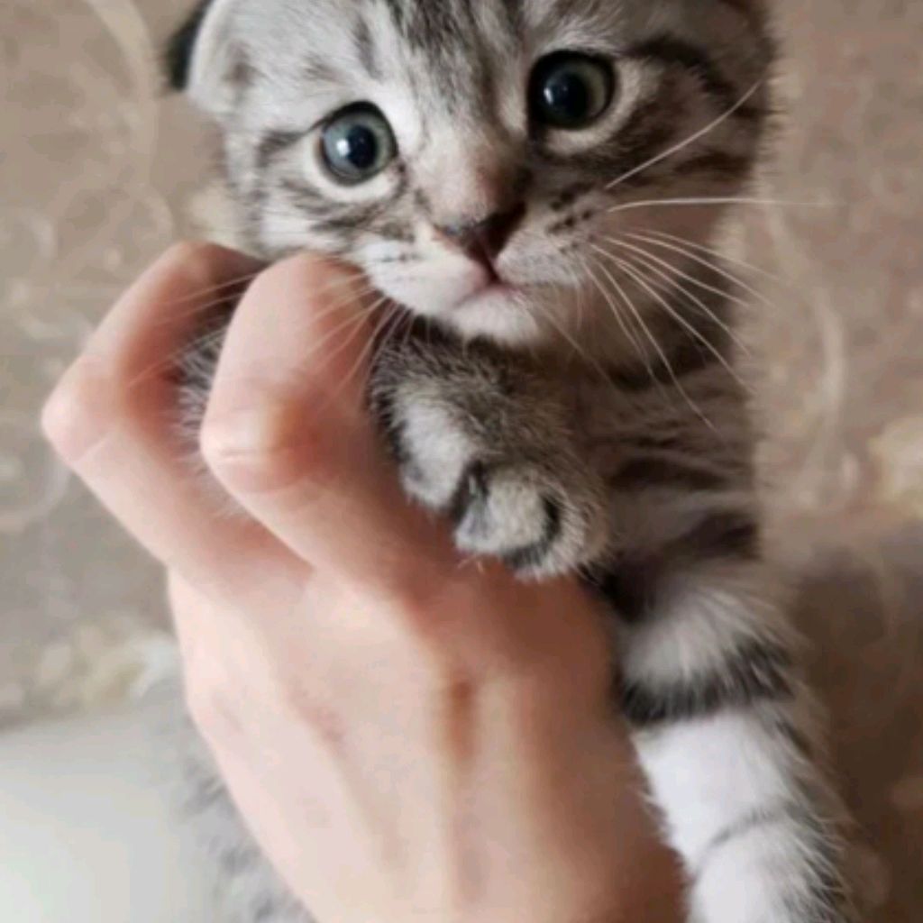 Иконка канала ПСИХОЛОГИЯ ОТНОШЕНИЙ