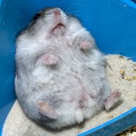 Иконка канала Charismatik