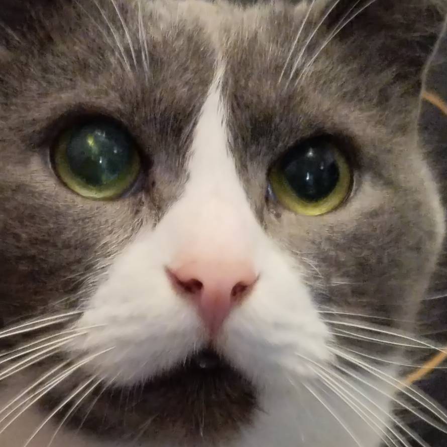 Иконка канала Shurik Mariupol