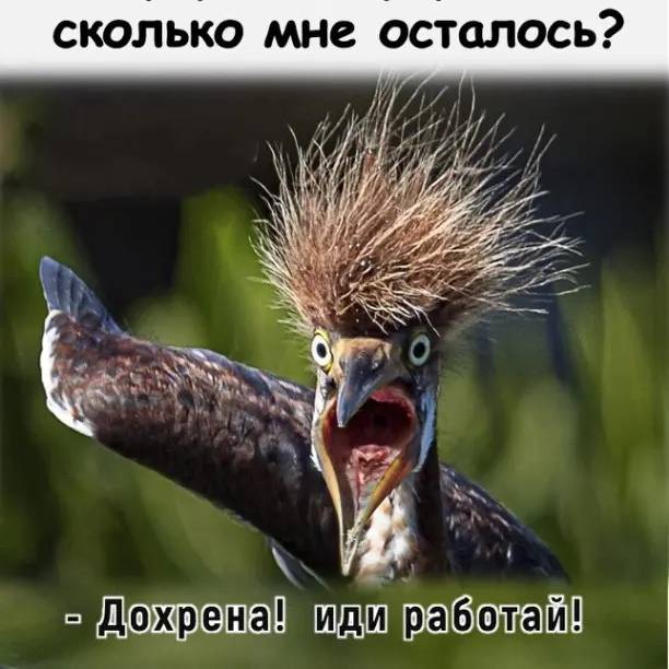 Иконка канала Retro Action - Retro Drive. Racing Archive