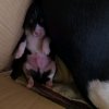 Иконка канала dgoni34921792