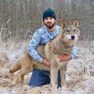 Иконка канала BLACK CANADIAN WOLF