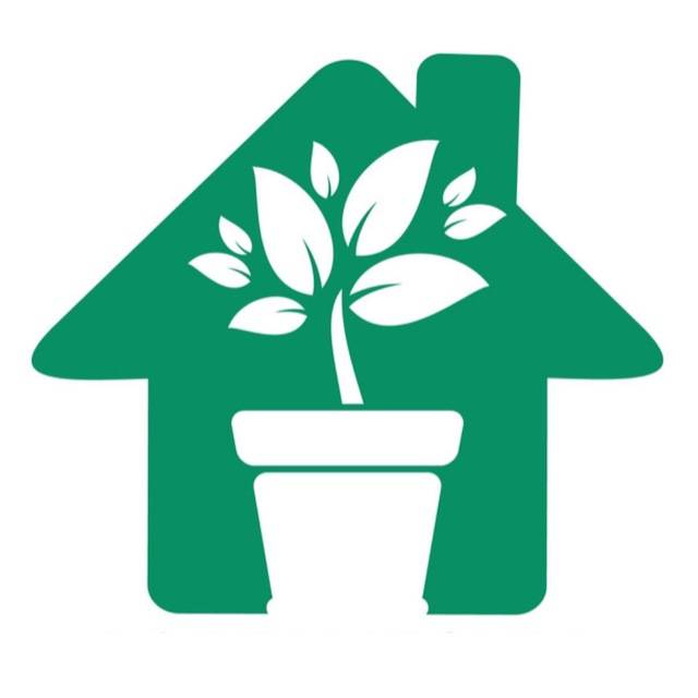 Иконка канала Комнатные цветы