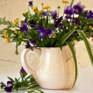 Иконка канала Живая жизнь