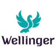 Иконка канала Wellinger