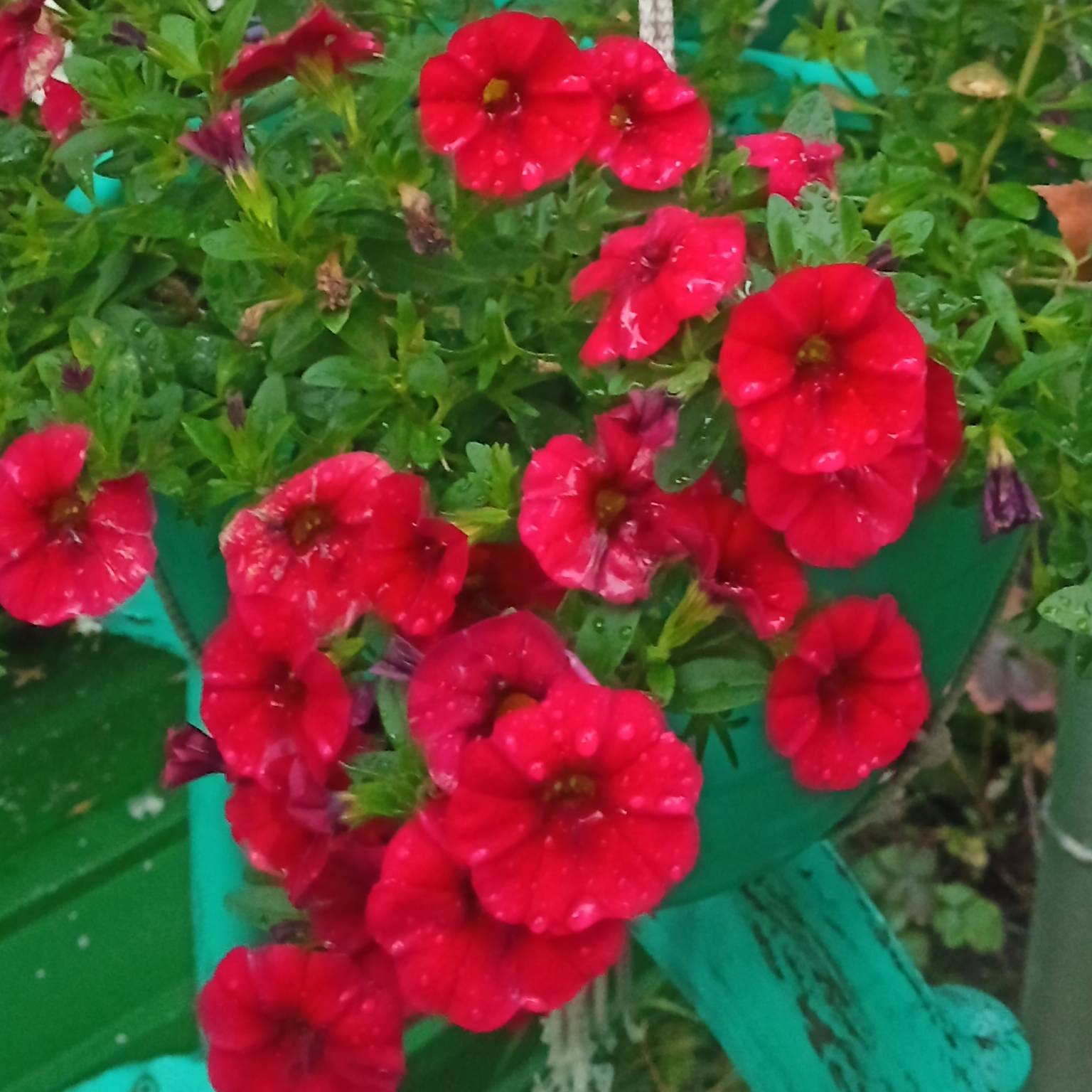 Иконка канала Жизнь в деревне