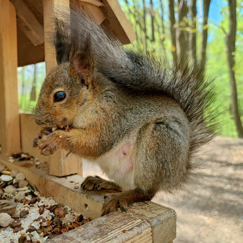Иконка канала Romachka TV