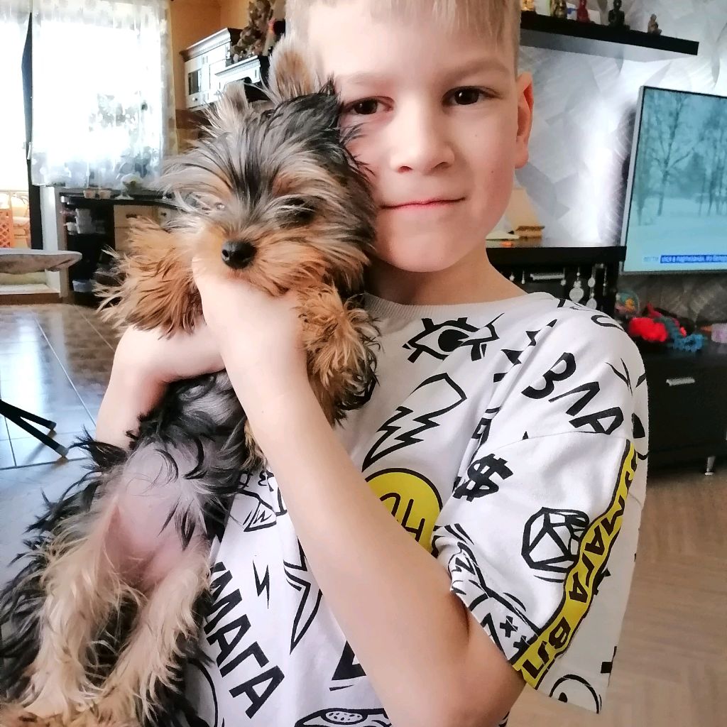 Иконка канала Собачий мир