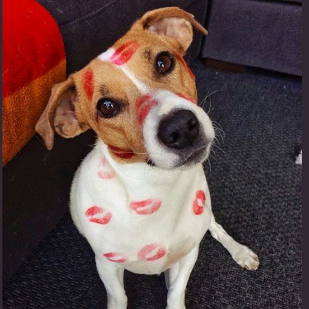 Иконка канала Еська ❤️🌸