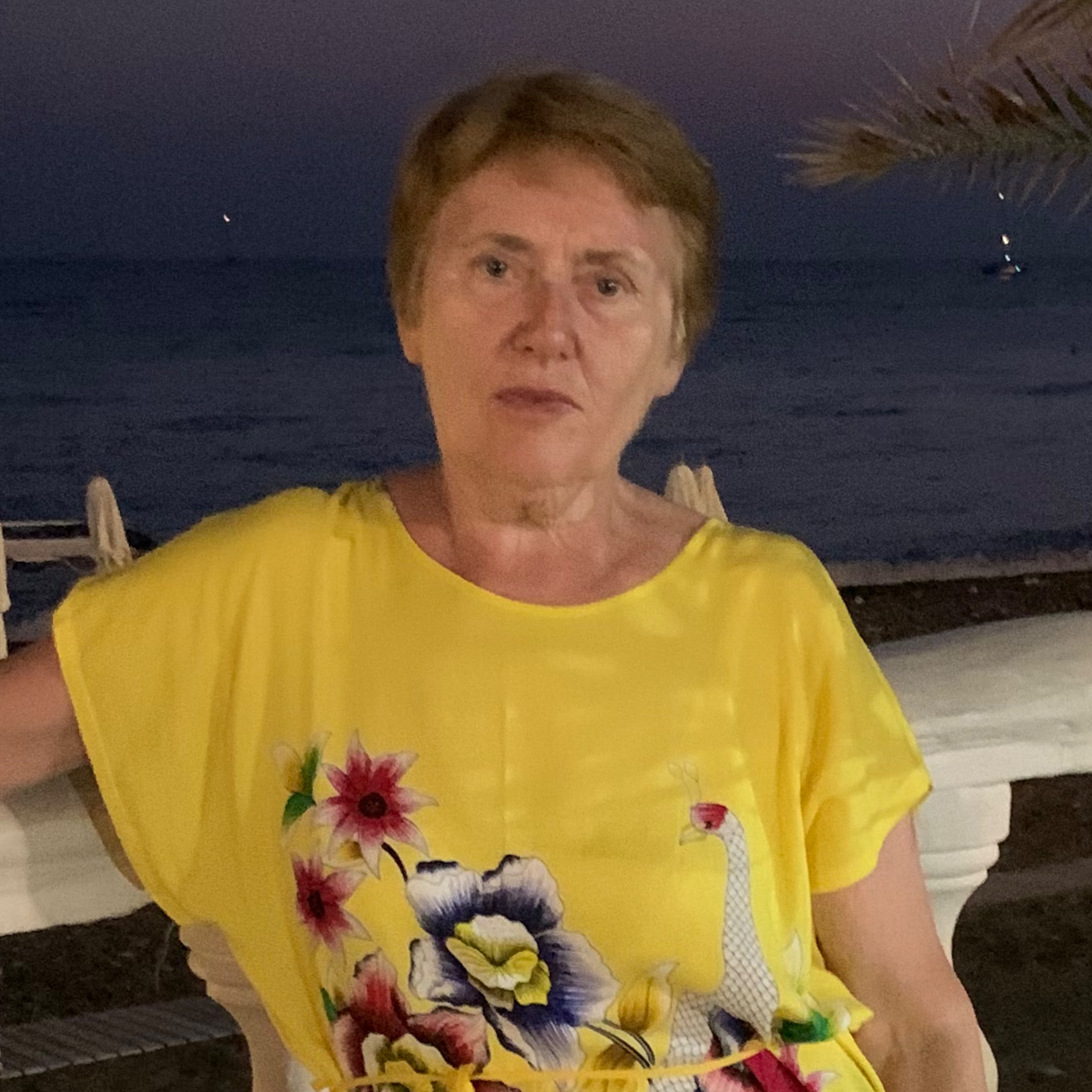 Иконка канала Нина Бородина