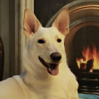 Иконка канала FAN Мишка