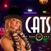 Иконка канала Virtual Strip Bar "CATS" БАР "КОШКИ"
