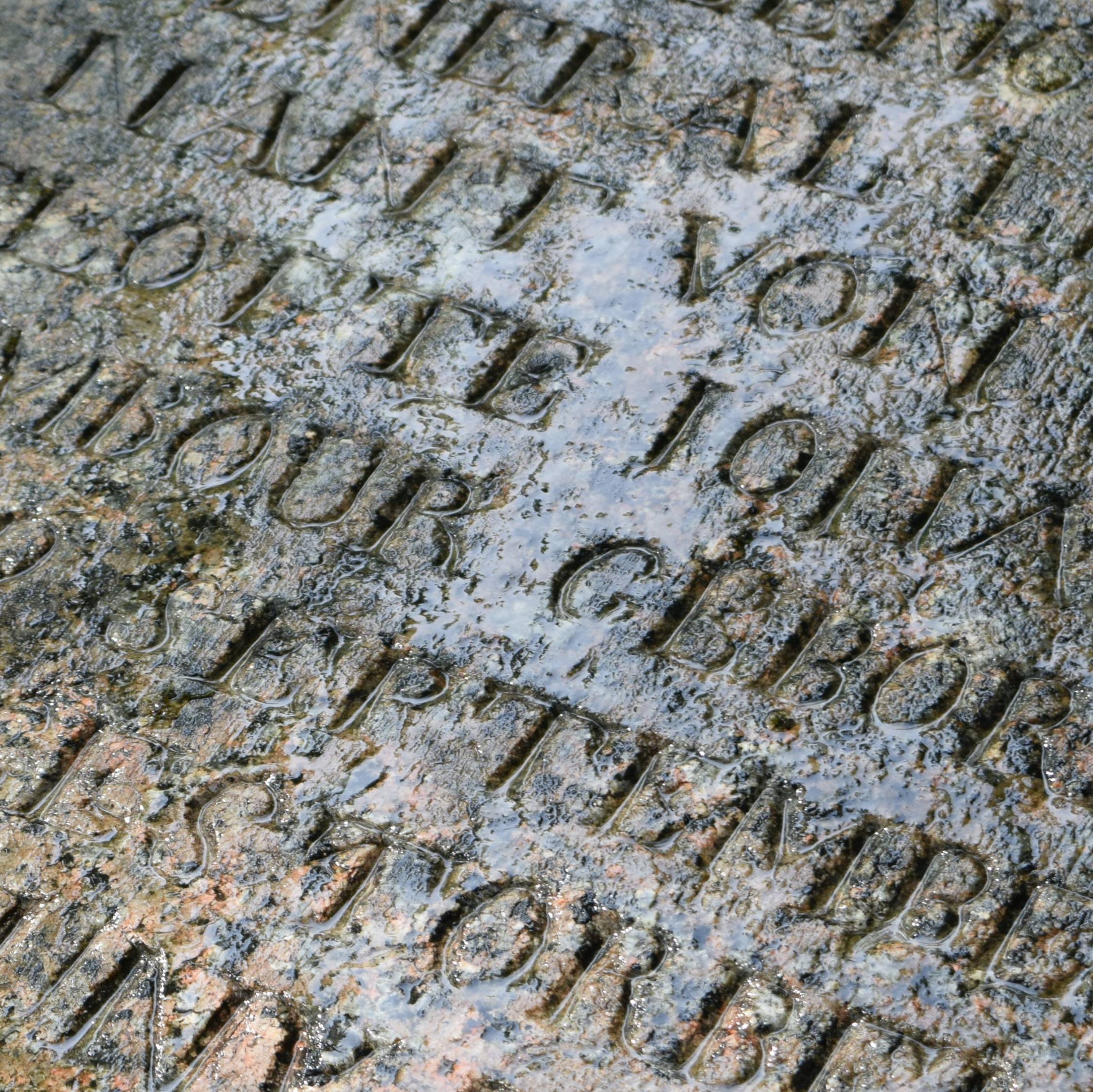 Иконка канала Возвращая имена