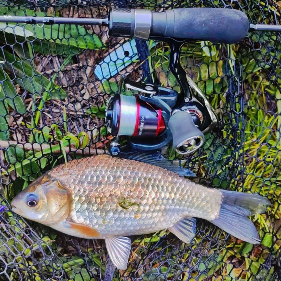 Иконка канала ВРЕМЯ ЛОВИТЬ ✅