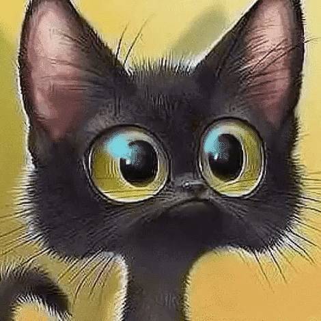 Иконка канала WARKO LIVE