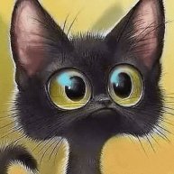 Иконка канала WARKO LIVE