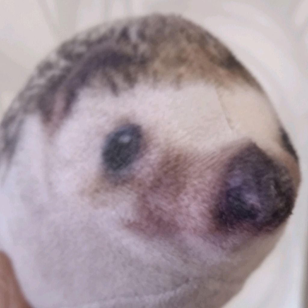 Иконка канала Ёжик плай