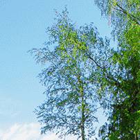 Иконка канала Красивые видео в высоком качестве!