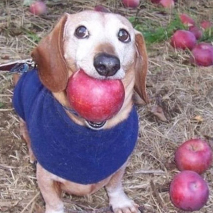 Иконка канала ly.Iv. SIMS