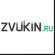 Иконка канала Zvukin