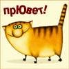 Иконка канала Кошки