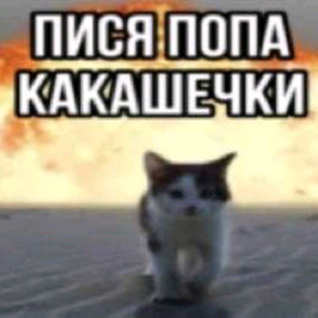 Иконка канала Equuinn