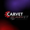 Иконка канала CARVET PRO