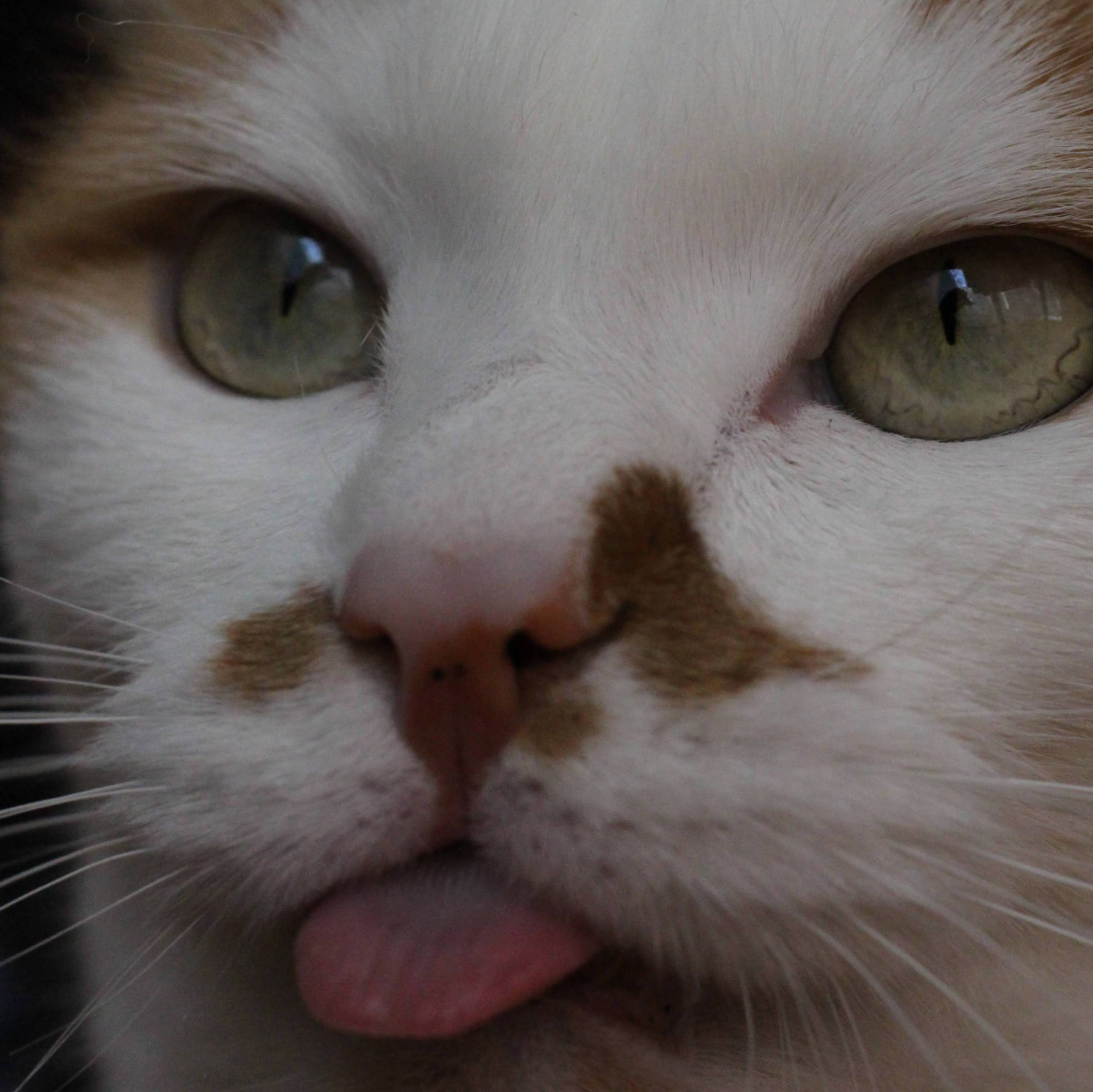 Иконка канала AkiRin_gm