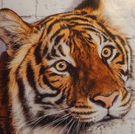 Иконка канала Россия достопримечательная