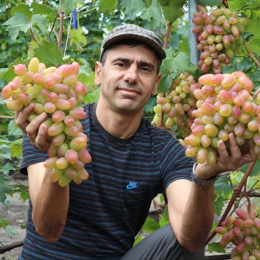 Иконка канала Алверцян Давид