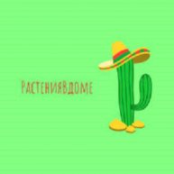 Иконка канала Растения в доме