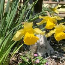 Иконка канала #всочиумаши