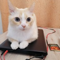 Иконка канала Лучший...