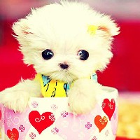 Иконка канала yu fite