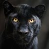Иконка канала Наследие природы