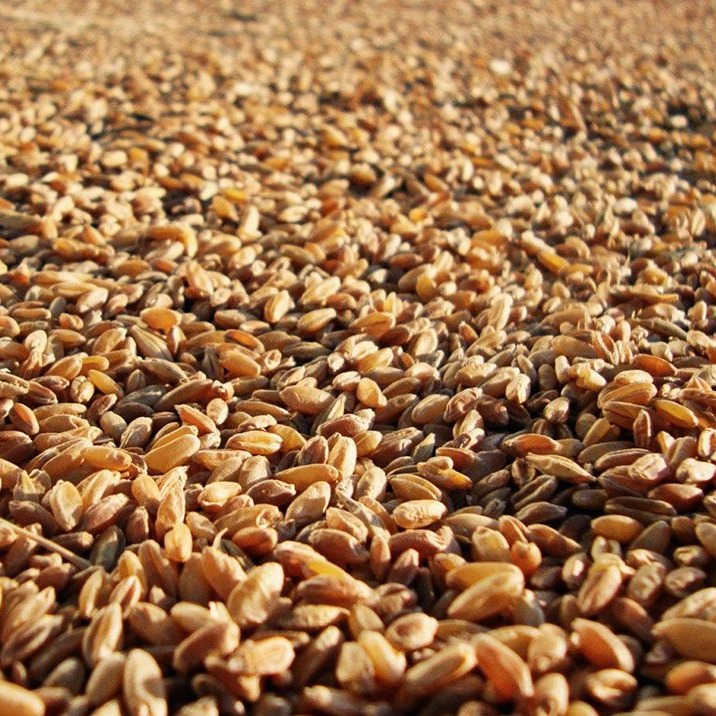 Иконка канала Управление Россельхознадзора по РТ