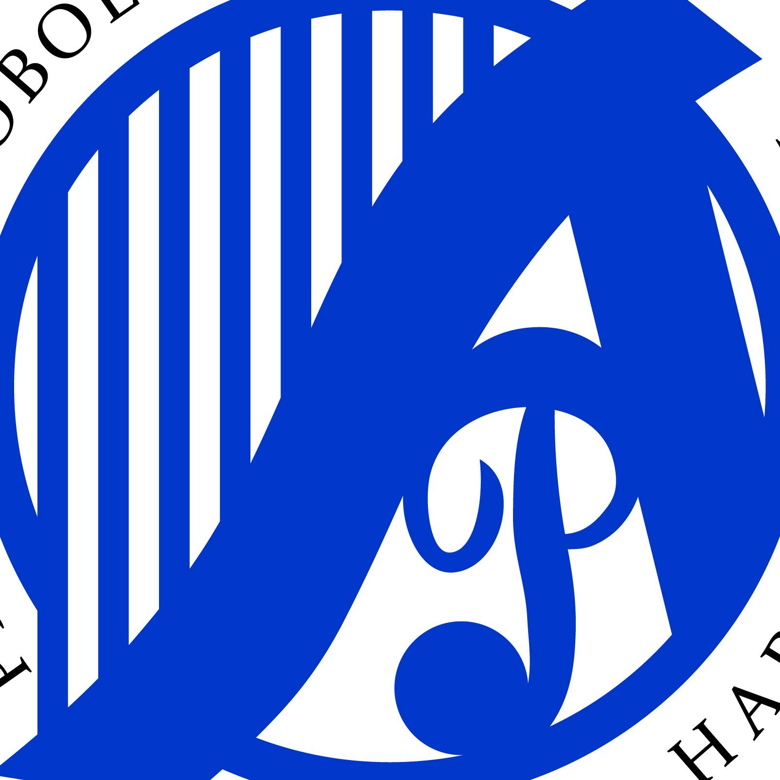 Иконка канала Русское арфовое общество