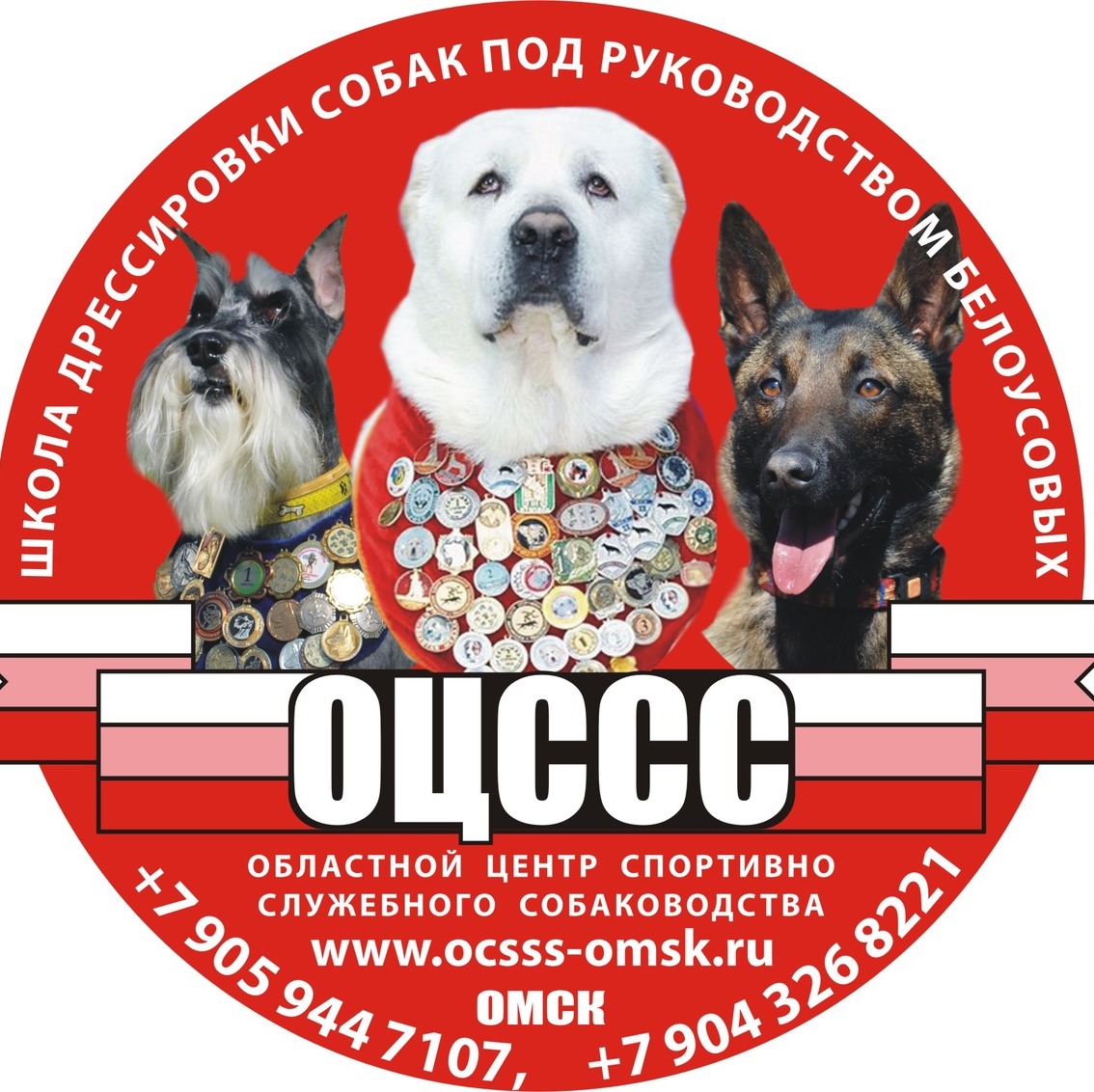 Иконка канала Дрессировка собак в Омске - ОЦССС