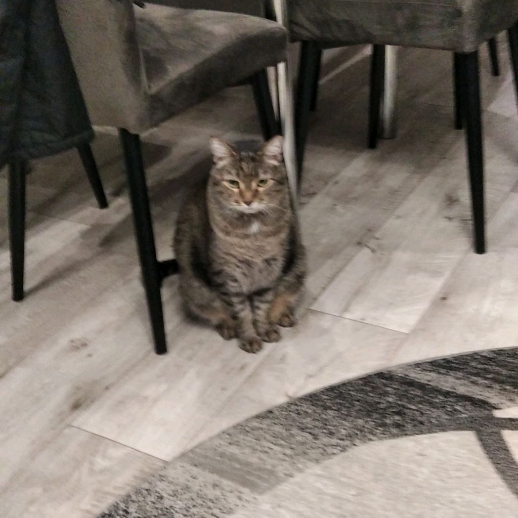 Иконка канала Вячеслав Курилюк