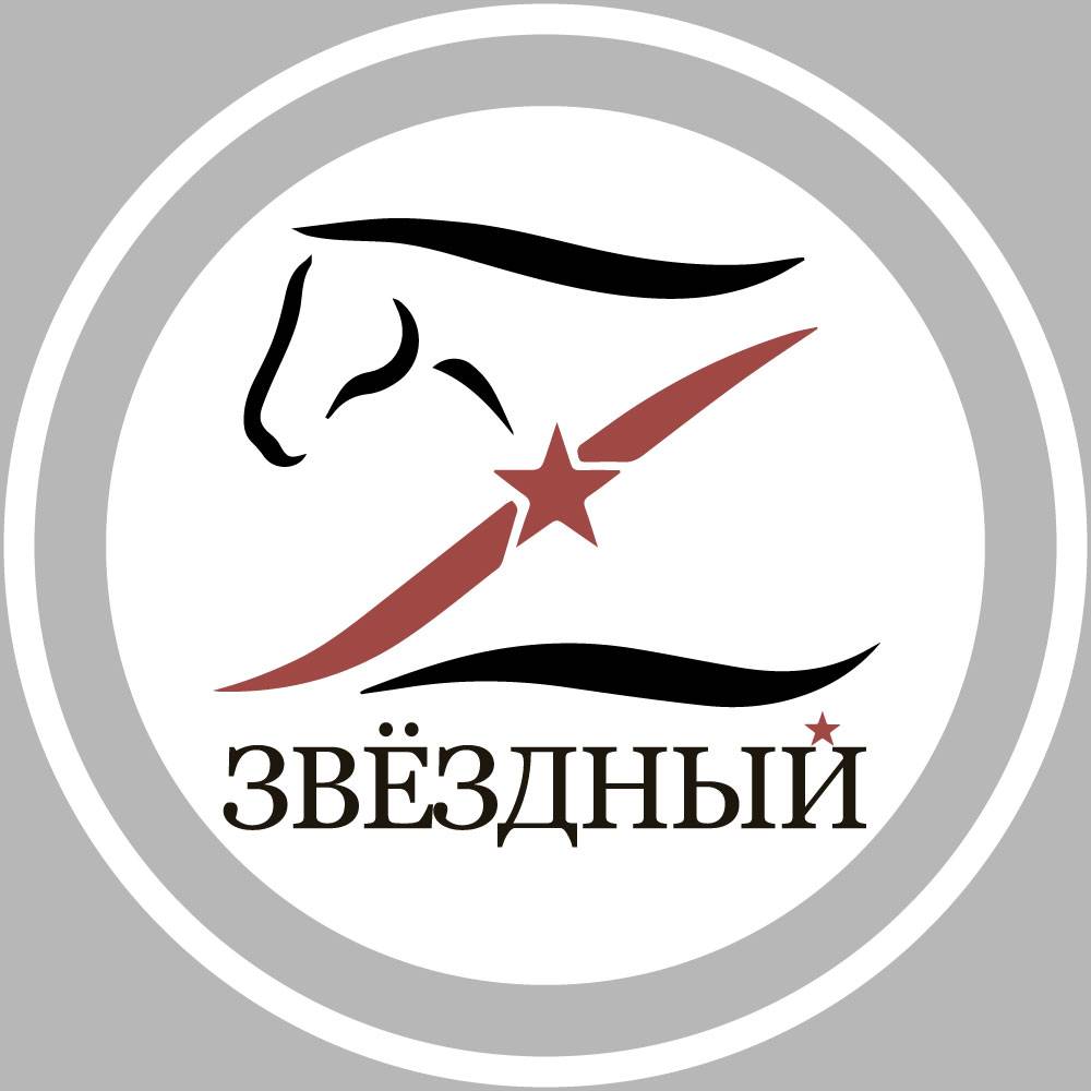 Иконка канала КСК "Звёздный"