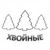 Иконка канала Хвойные 🌲