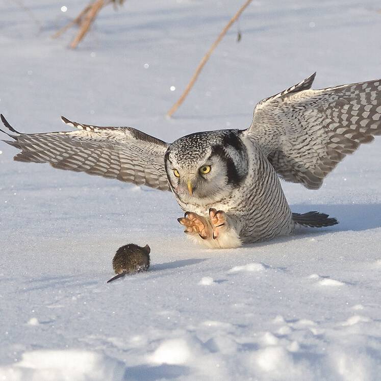 Иконка канала 828 Колымчанин Я