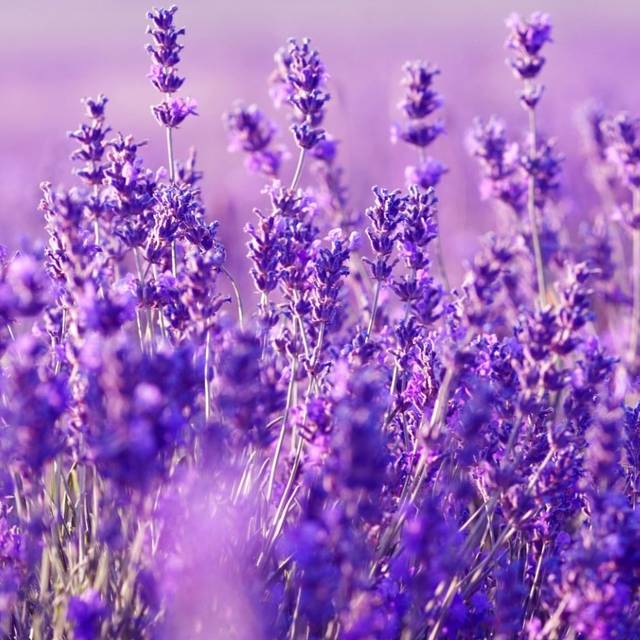 Иконка канала Умелочка