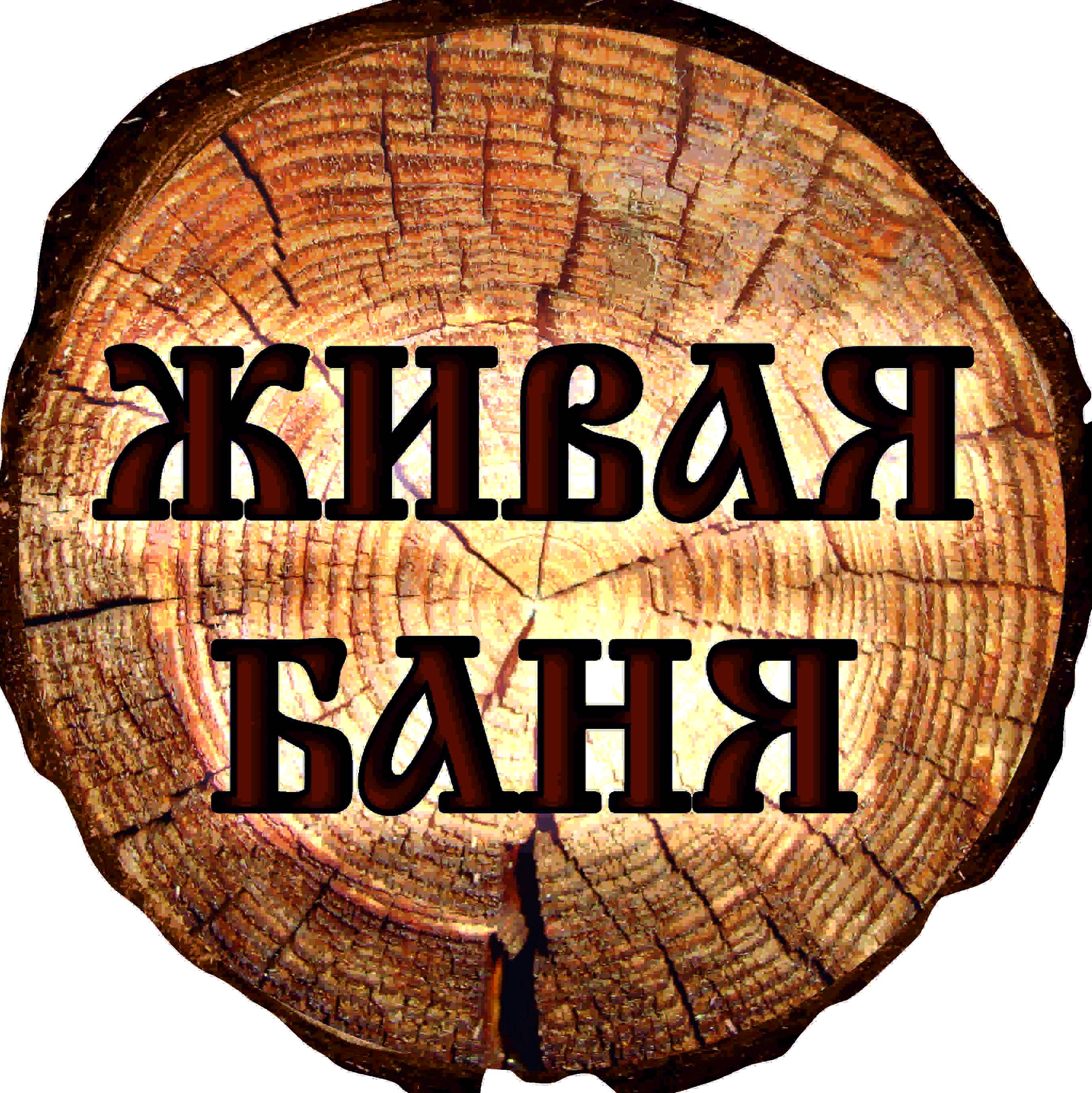 Иконка канала Живая Баня