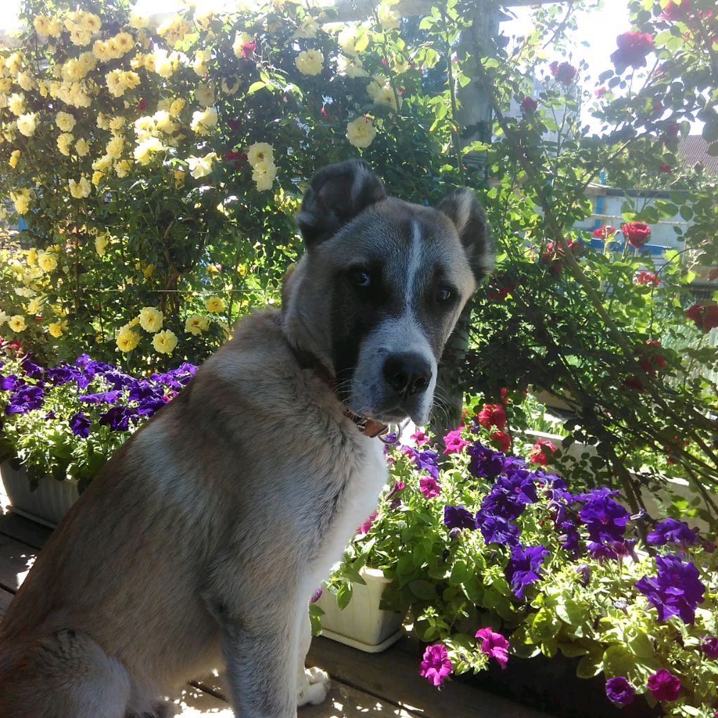 Иконка канала Будни Волгоградки.