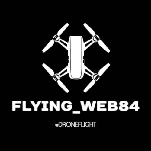 Иконка канала Flying_WEB84