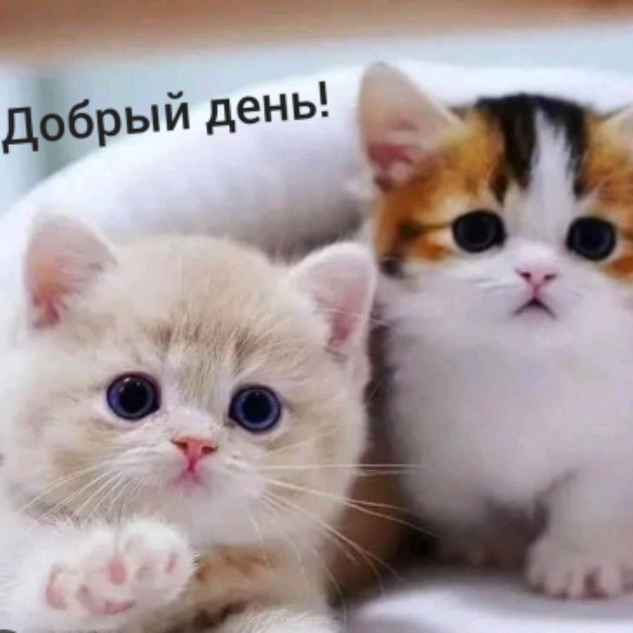 Иконка канала Два брата