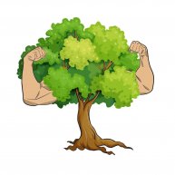 Иконка канала TvorchestWOOD