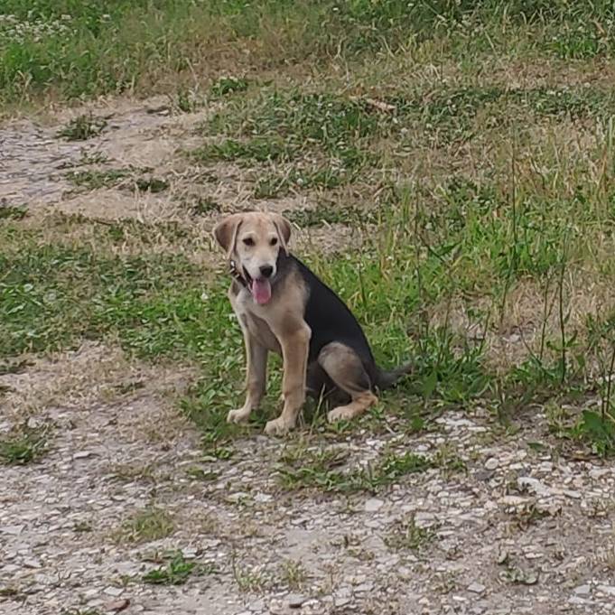 Иконка канала Дмитрий