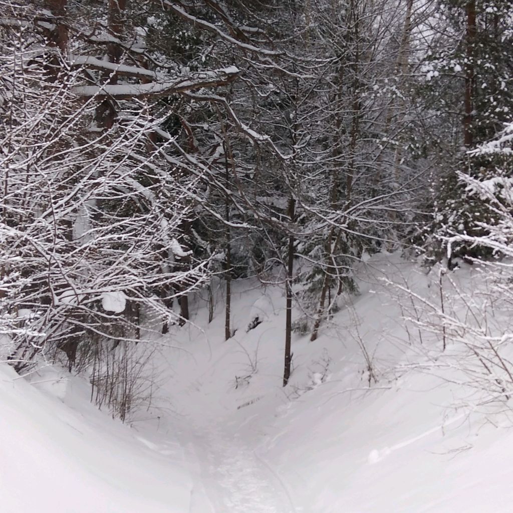 Иконка канала channel24261712